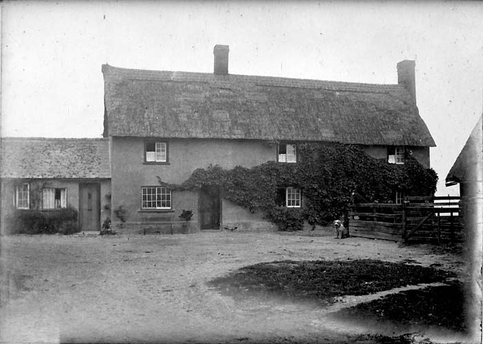 Index of /history-files/hall-photos/